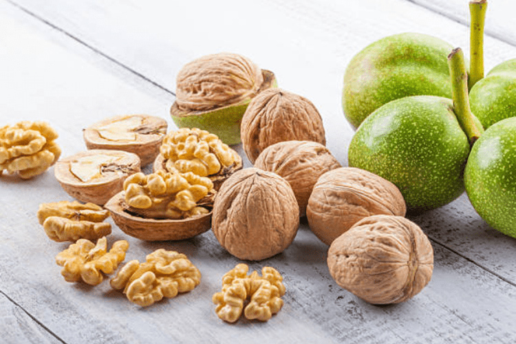 Cây óc Chó Và Những đặc điểm Của Cây óc Chó - Topshare.vn