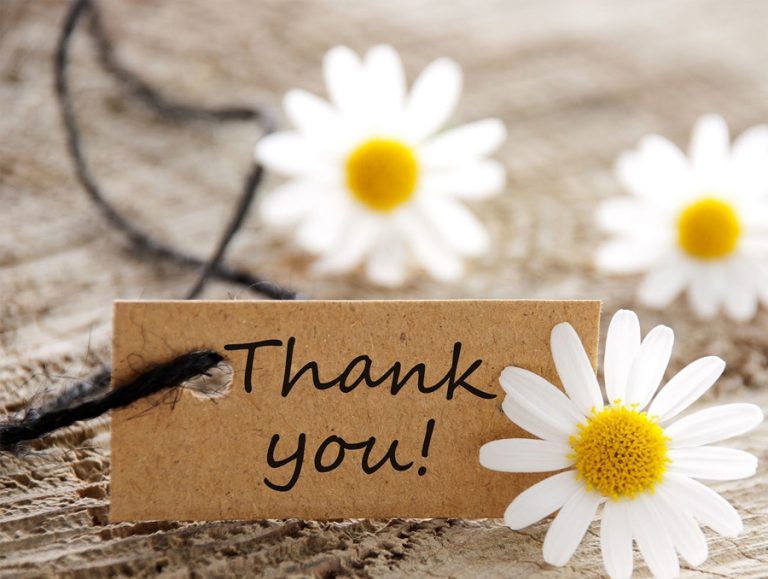 [TOP 30+] Hình ảnh Nền đẹp Về "Thank You" Không Nên Bỏ Qua