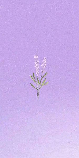 [TOP 40+] Hình Nền Màu Tím Pastel đẹp, Cute Và Dễ Thương