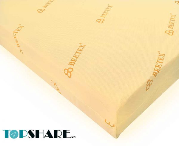 Top 3 Mẫu Nệm Beetex Chất Lượng Nhất 2025