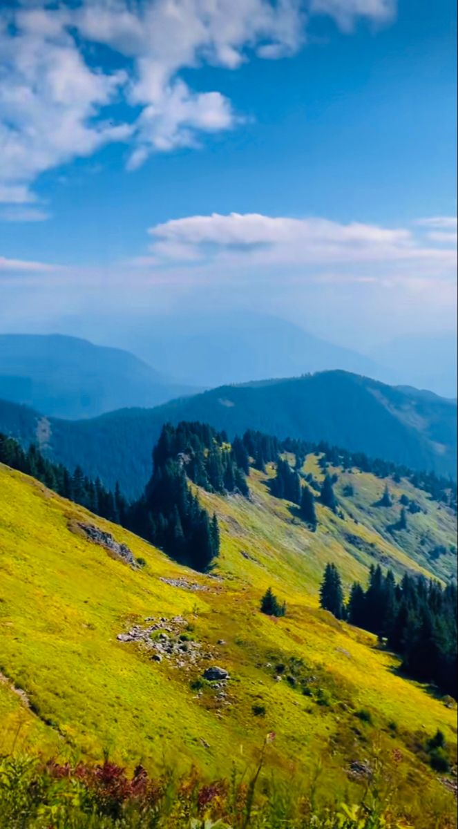 Top 80+ Hình Nền Chill Đẹp Chất Nhất Hiện Nay 2025